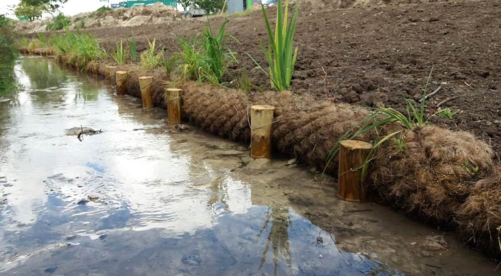 Erosion Control - Freelandwater